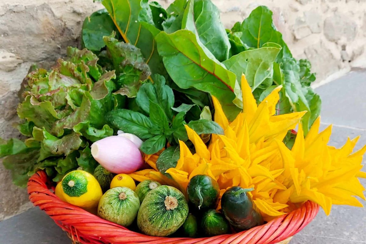 Home - L'Ape e l'oliva Azienda Agricola